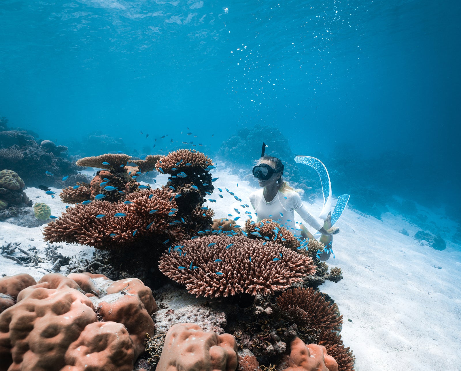 About Embella – Embella Jewellery