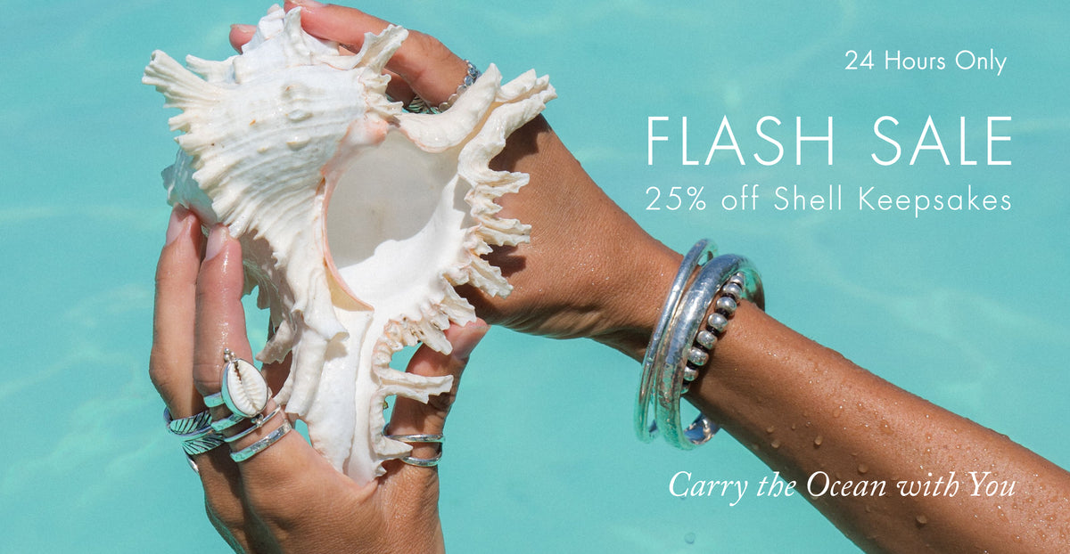 Shop Shell Sale – Embella Jewellery